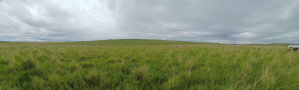 Resilient Pastures Project - Monaro Farming Systems
